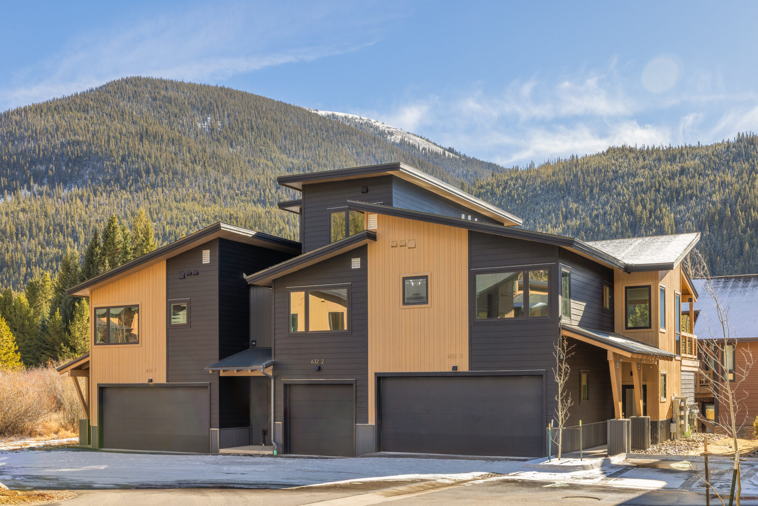Camber Townhomes - Palisade Building Group